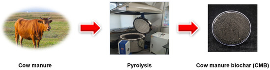 Effect of Cow Manure Biochar on Lettuce Growth and Nitrogen Agronomy ...