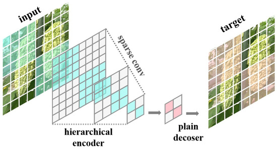 Improved CSW-YOLO Model for Bitter Melon Phenotype Detection