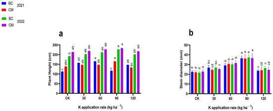 Synergetic Effect of Potassium, Biochar and Cattle Manure on the Growth ...