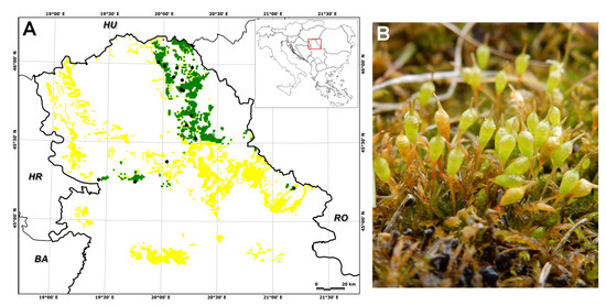 Modeling the Distribution of the Rare and Red-Listed Halophytic Moss ...