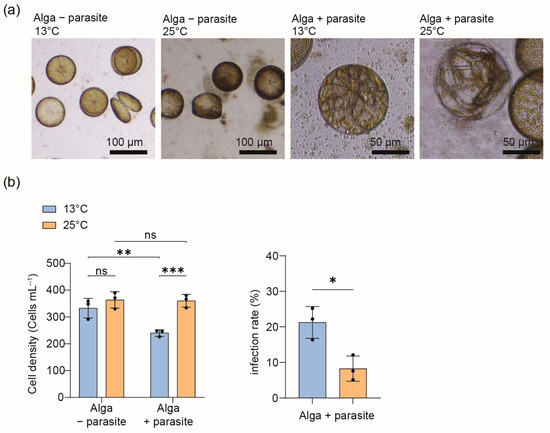 The Impact of Temperature on Host–Parasite Interactions and Metabolomic ...