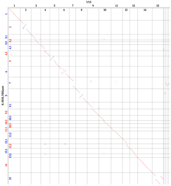 Nanopore Data-Driven Chromosome-Level Assembly of Flax Genome