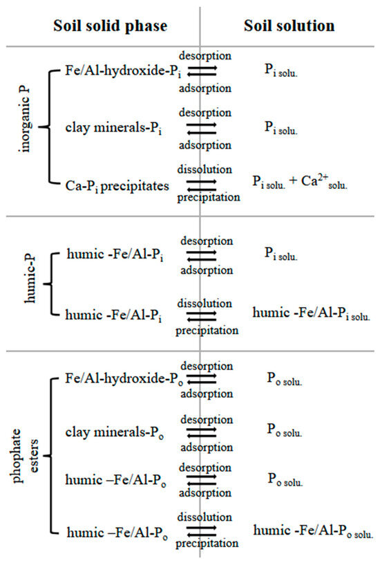 Improving Phosphate Acquisition from Soil via Higher Plants While ...