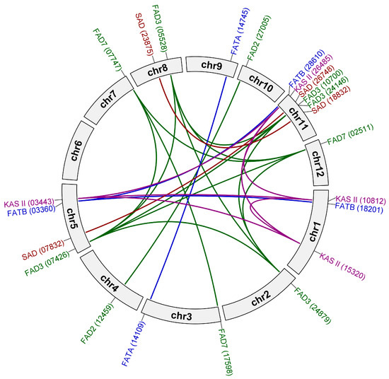 Identification and Analysis of KAS II, FAT, SAD, and FAD Gene Families ...