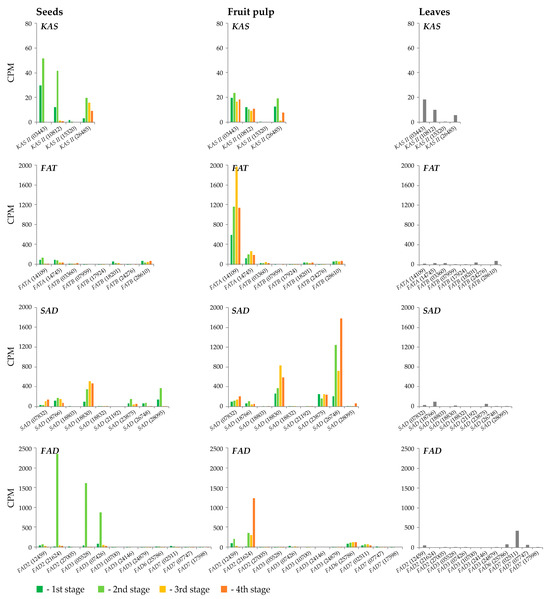 Identification and Analysis of KAS II, FAT, SAD, and FAD Gene Families ...