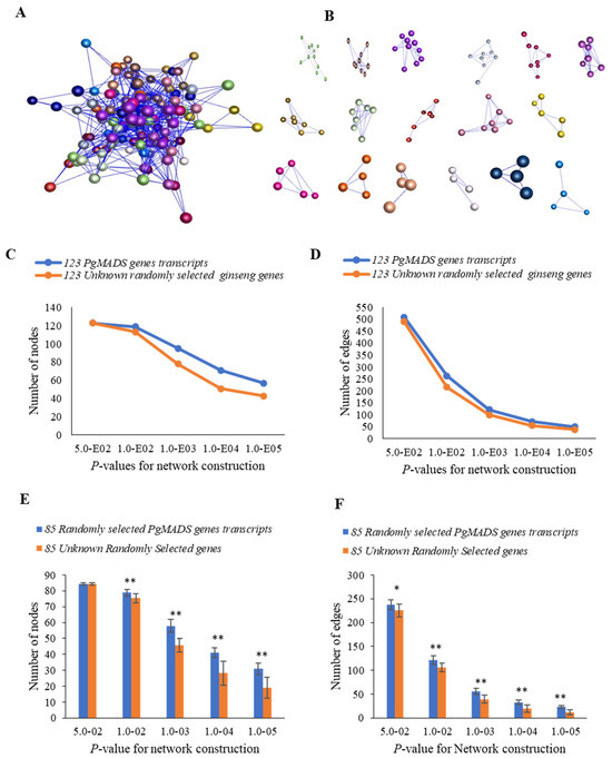 Evolution, Structural and Functional Characteristics of the MADS-box ...