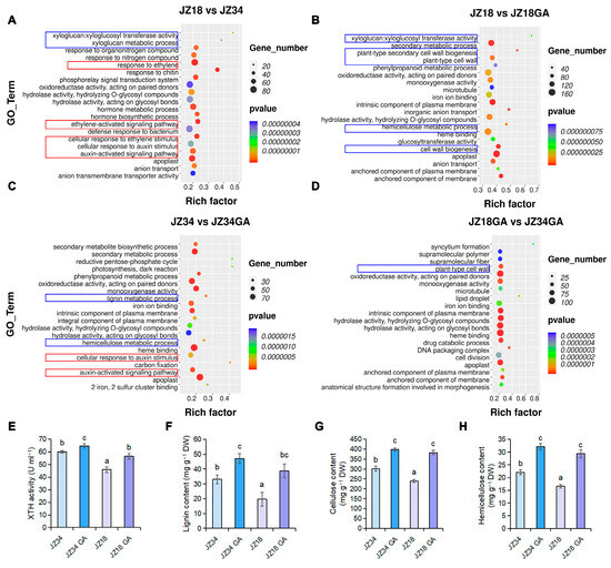 GA3-Induced SlXTH19 Expression Enhances Cell Wall Remodeling and Plant ...