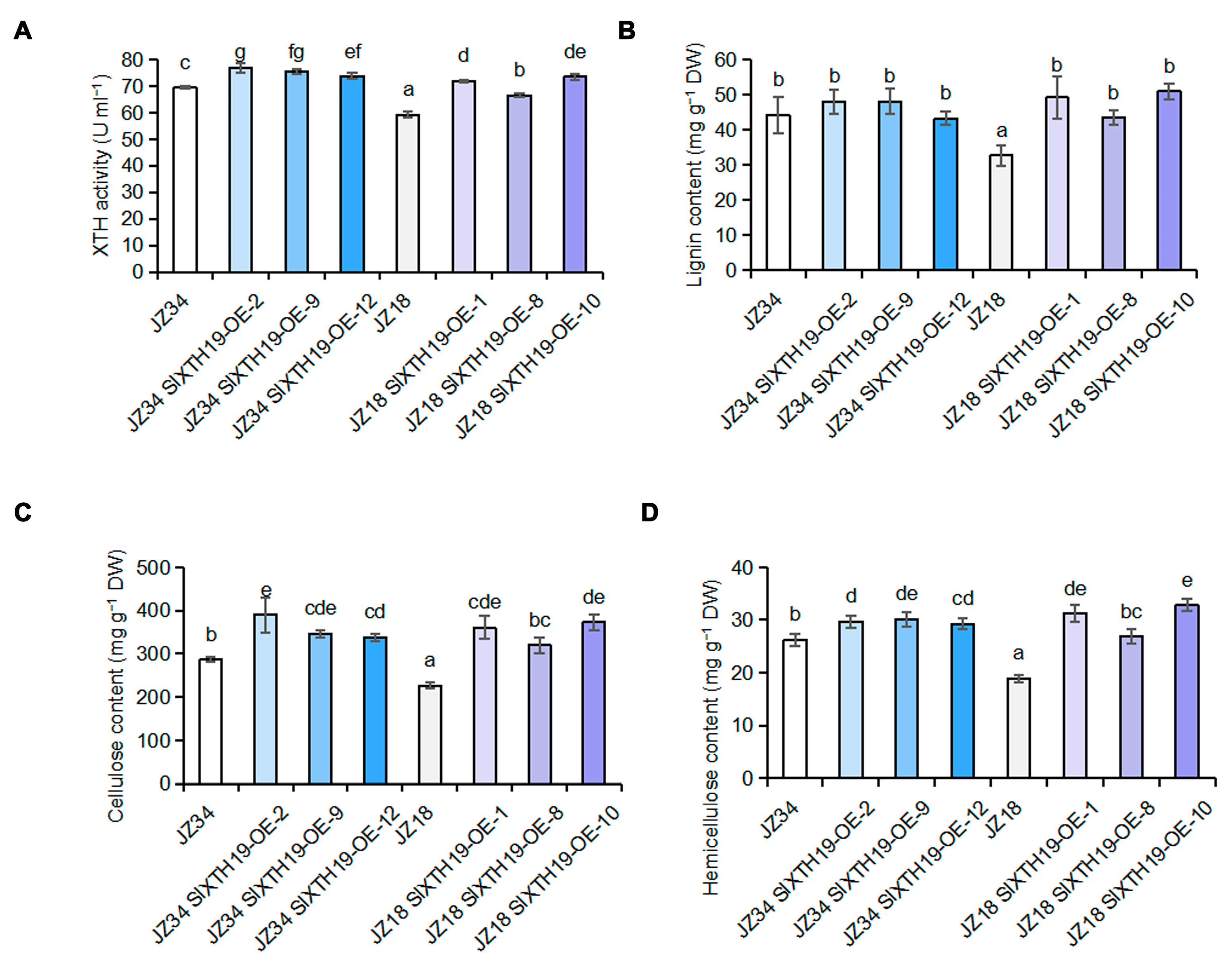 GA3-Induced SlXTH19 Expression Enhances Cell Wall Remodeling and Plant ...