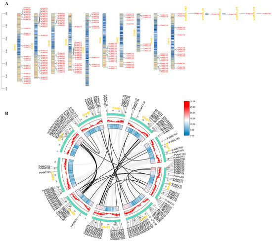 Genome-Wide Identification and Expression Analysis of NAC Gene Family ...