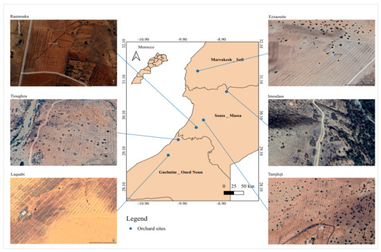 The Influence of Edaphic and Climatic Factors on the ...