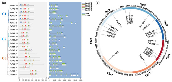 Bioinformatics and Expression Profiling of the DHHC-CRD S ...