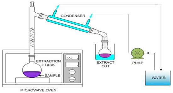 Extraction and Processing of Bioactive Phytoconstituents from Widely ...