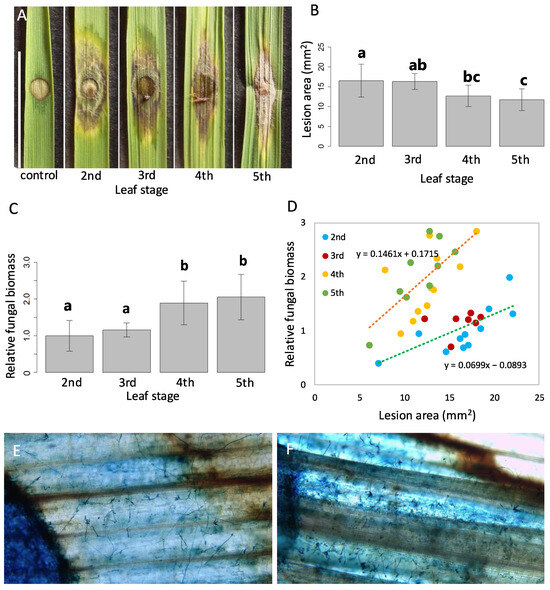 Differential Stress Responses to Rice Blast Fungal Infection Associated ...
