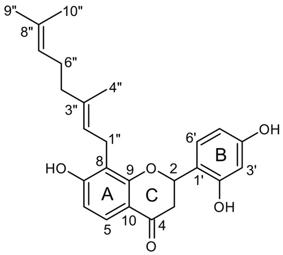Production of Malheuran A, a Geranylated Flavonoid with Antimicrobial ...