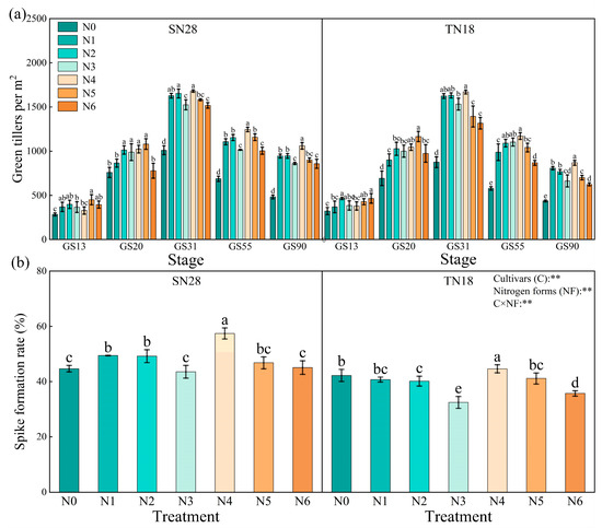 Effect of Combined Urea and Calcium Nitrate Application on Wheat Tiller ...