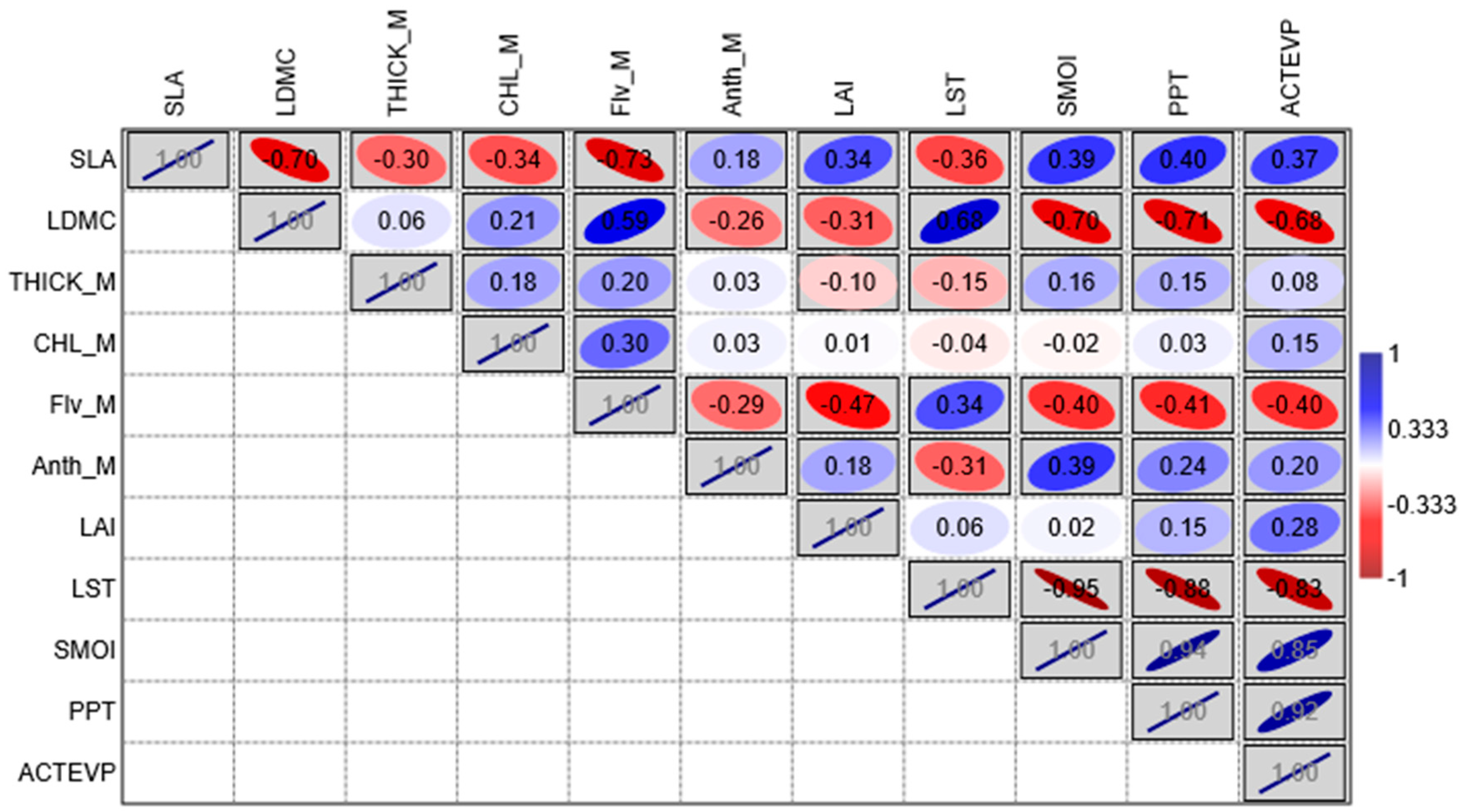 Quercus cerris Leaf Functional Traits to Assess Urban Forest Health ...