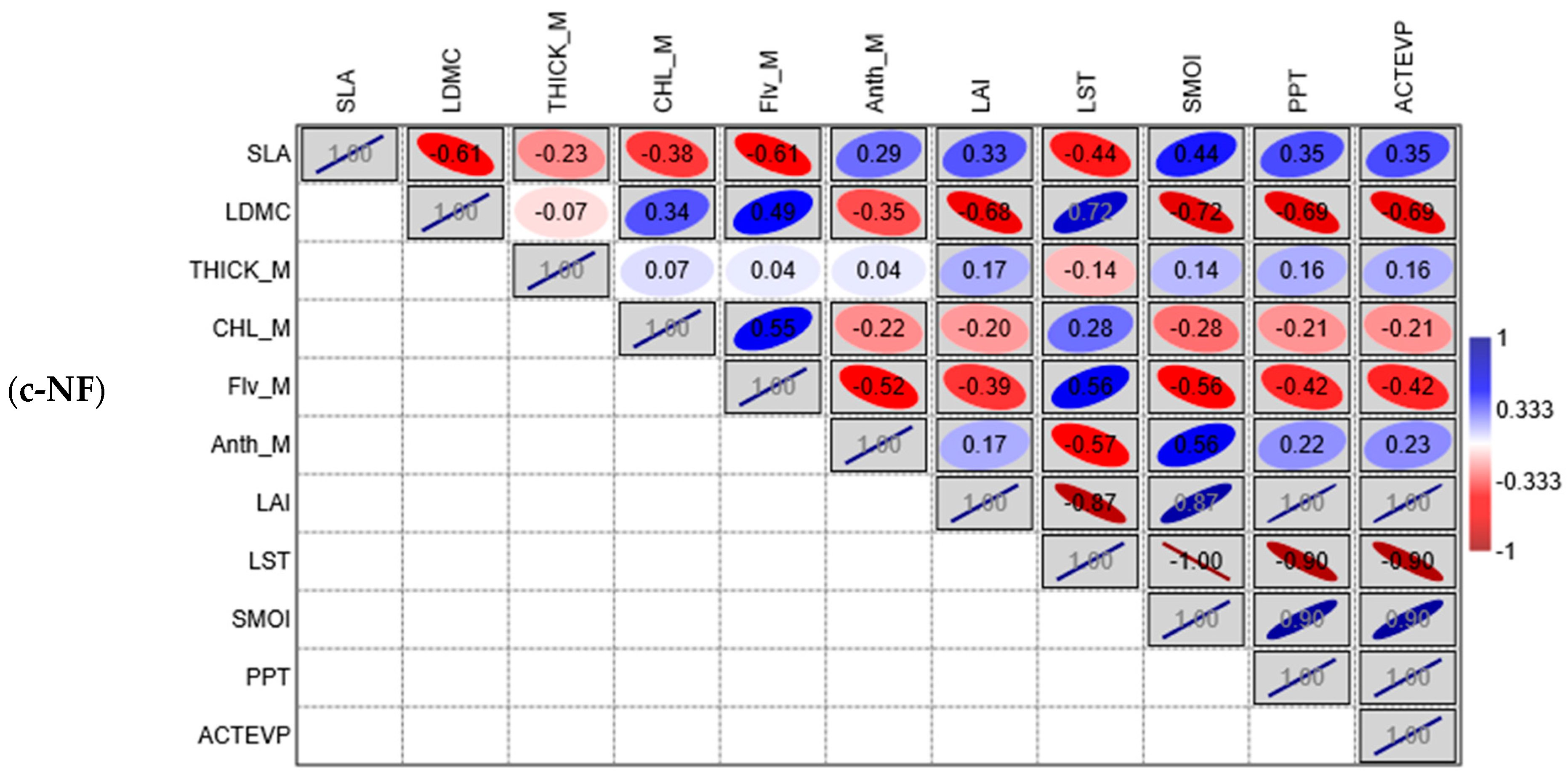 Quercus cerris Leaf Functional Traits to Assess Urban Forest Health ...
