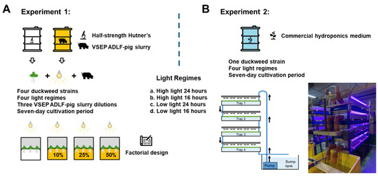 Varied Growth Media Necessitate Different Light Regimes for Indoor ...