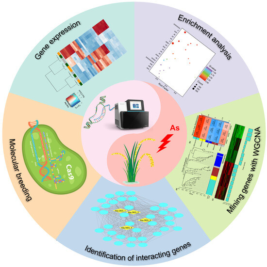 Recent Advances in Transcriptome Analysis Within the Realm of Low ...