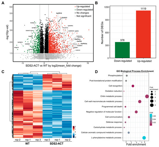 Integrated Transcriptomic and Metabolomic Analyses Reveal the ...