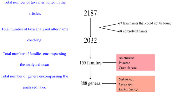 Life at the Top: Extensive Green Roof Plant Species and Their Traits ...