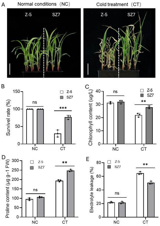 Transcriptome Analysis Reveals the Pivotal Genes and Regulation ...