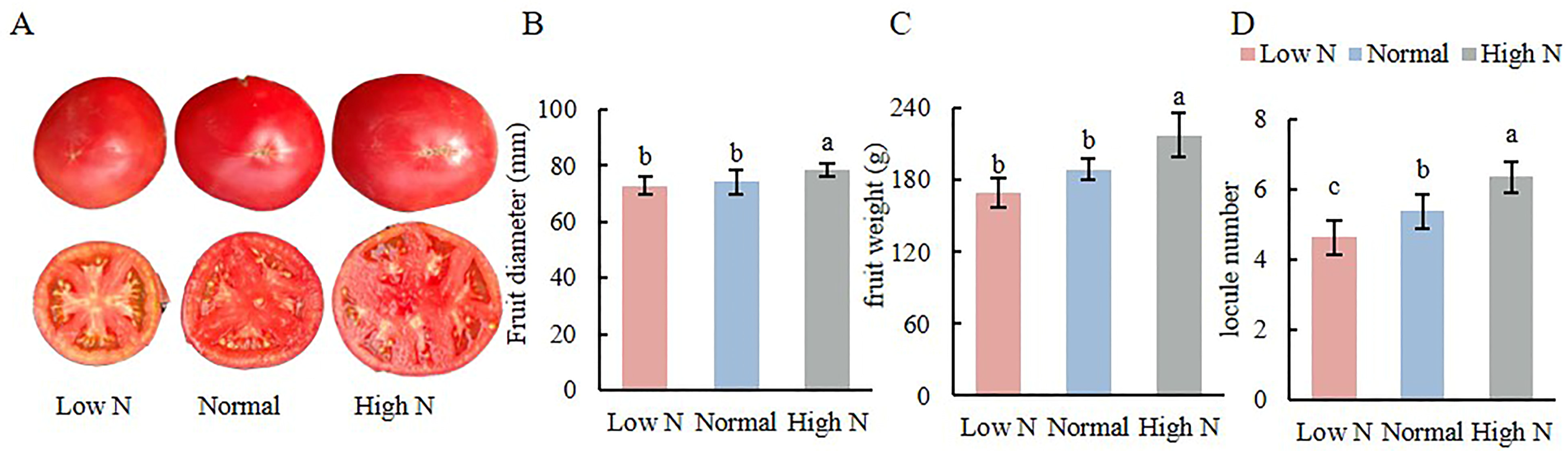 Effects of Varying Nitrogen Concentrations on the Locule Number in ...