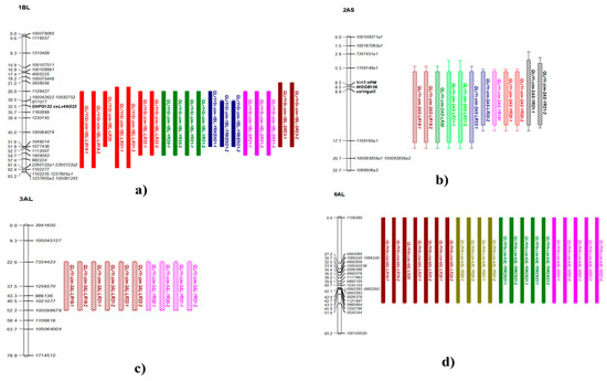 Genetic Dissection of Triple Rust Resistance (Leaf, Yellow, and Stem ...