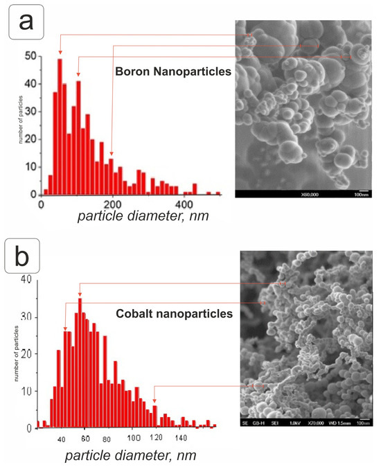 Can Boron and Cobalt Nanoparticles Be Beneficial Effectors to Prevent ...