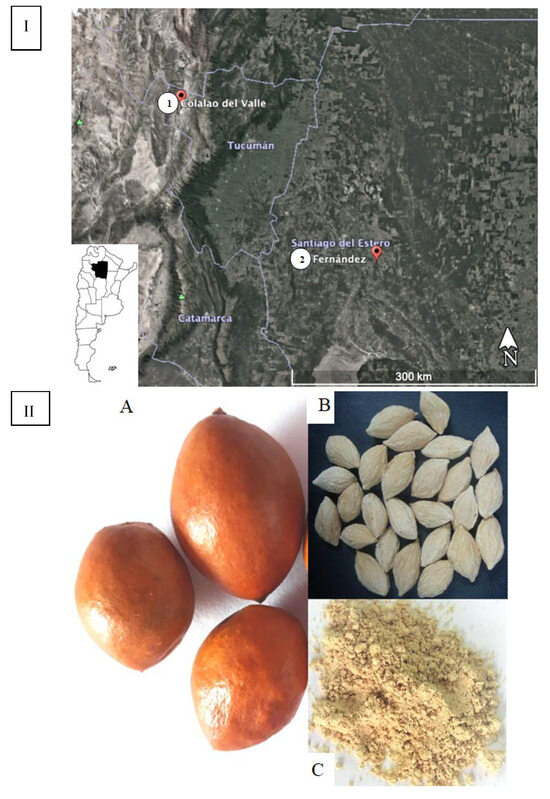 Nutritional and Functional Characterization of Flour from Seeds of ...