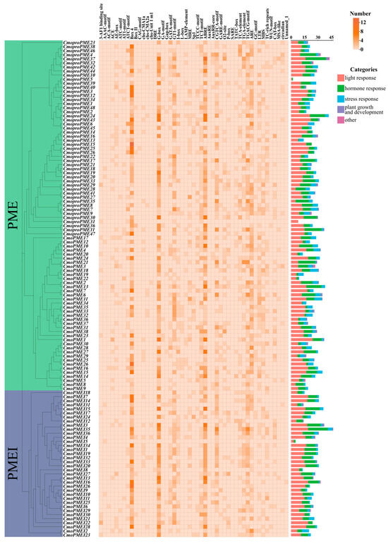 Genome-Wide Analyses and Expression Profiling of PME/PMEI Gene Families ...