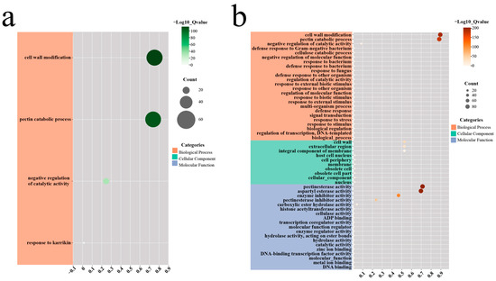 Genome-Wide Analyses and Expression Profiling of PME/PMEI Gene Families ...