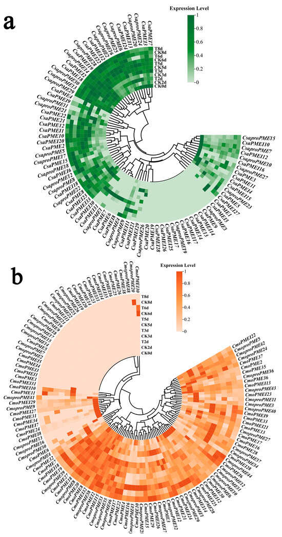 Genome-Wide Analyses and Expression Profiling of PME/PMEI Gene Families ...
