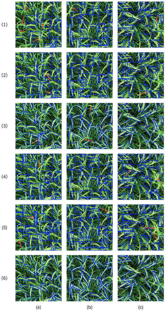OE-YOLO: An EfficientNet-Based YOLO Network for Rice Panicle Detection