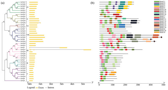 Genome-Wide Identification, Characterization, and Expression Analysis ...