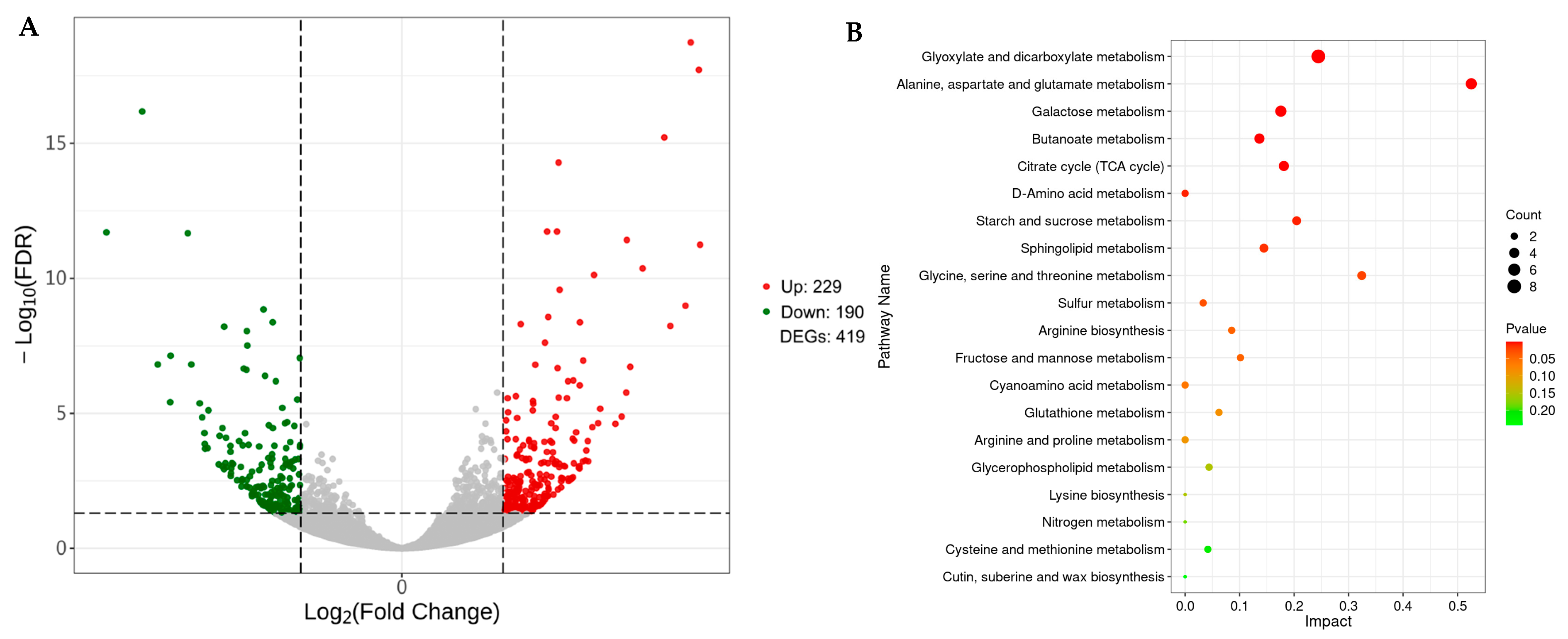 Integrative Transcriptomics and Metabolomics Reveal the Key Metabolic ...