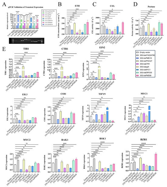 Elucidating the Molecular Mechanisms of Physiological Fruit Abscission ...