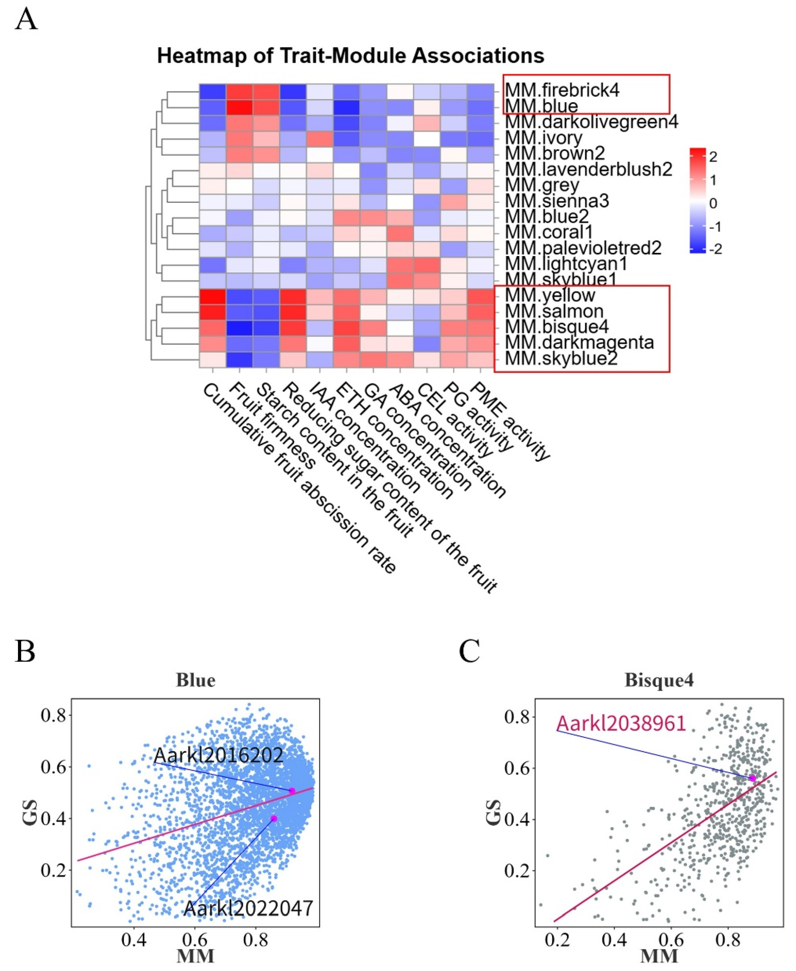 Elucidating the Molecular Mechanisms of Physiological Fruit Abscission ...