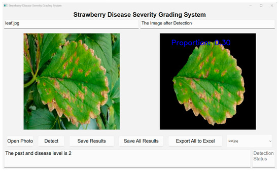 Dual-Phase Severity Grading of Strawberry Angular Leaf Spot Based on Improved YOLOv11 and OpenCV