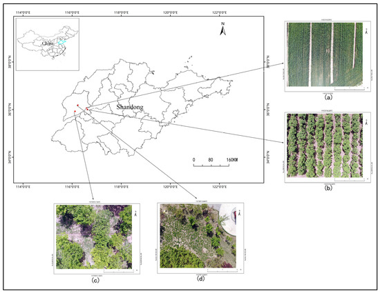 Unmanned Aerial Vehicle (UAV) Imagery for Plant Communities: Optimizing Visible Light Vegetation ...