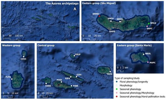 Floral Biology, Breeding System and Conservation Implications for the ...