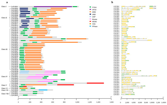 Genome-Wide Identification, Characterization, and Expression Analysis ...