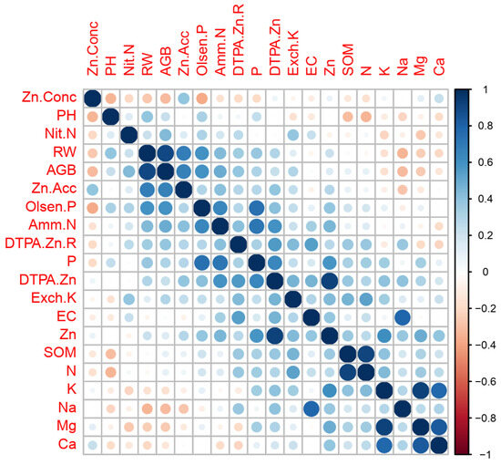 Zinc Translocation from Coastal Soil to Wheat as Mediated by Zinc ...