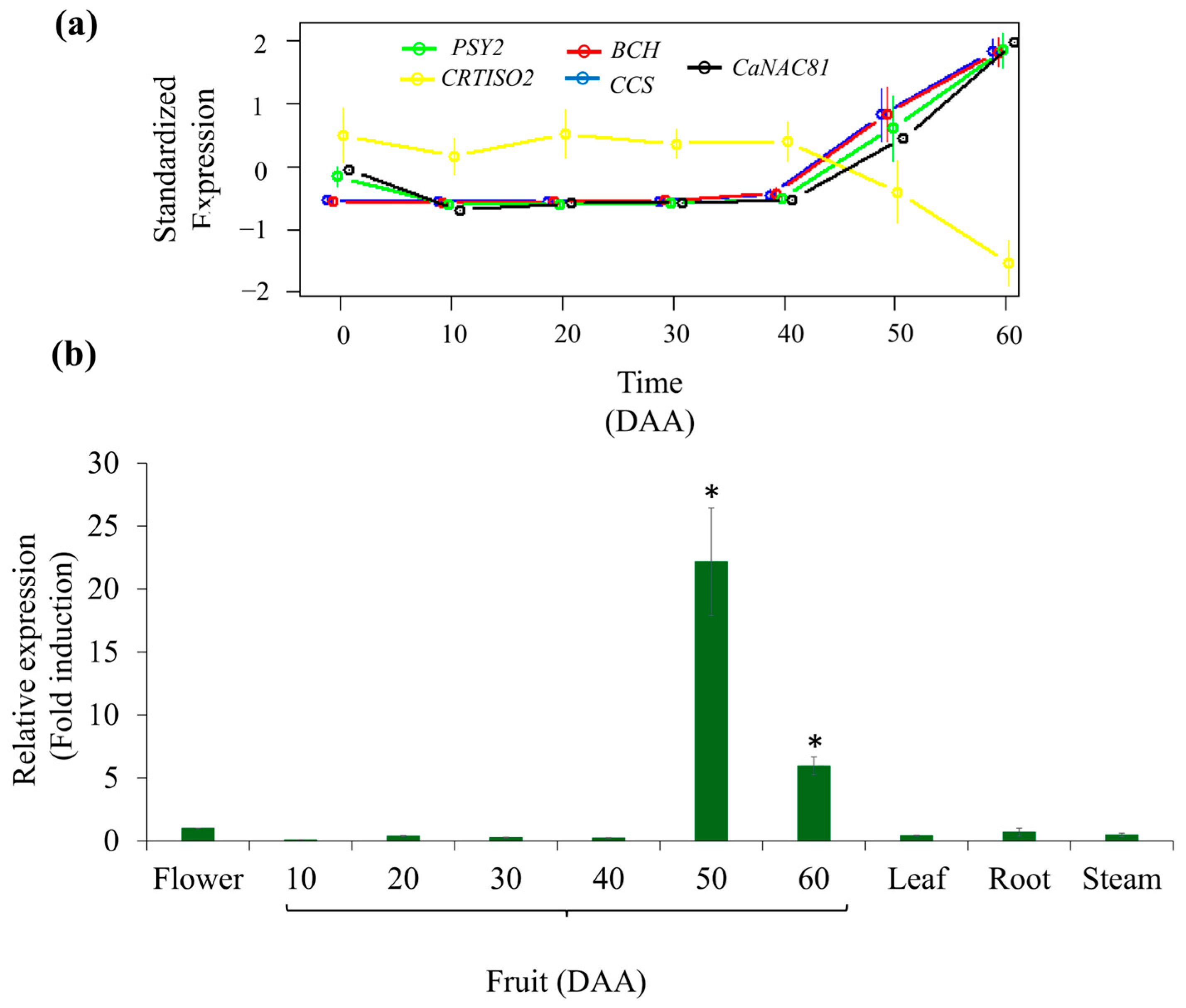 The Transcription Factor CaNAC81 Is Involved in the Carotenoid ...