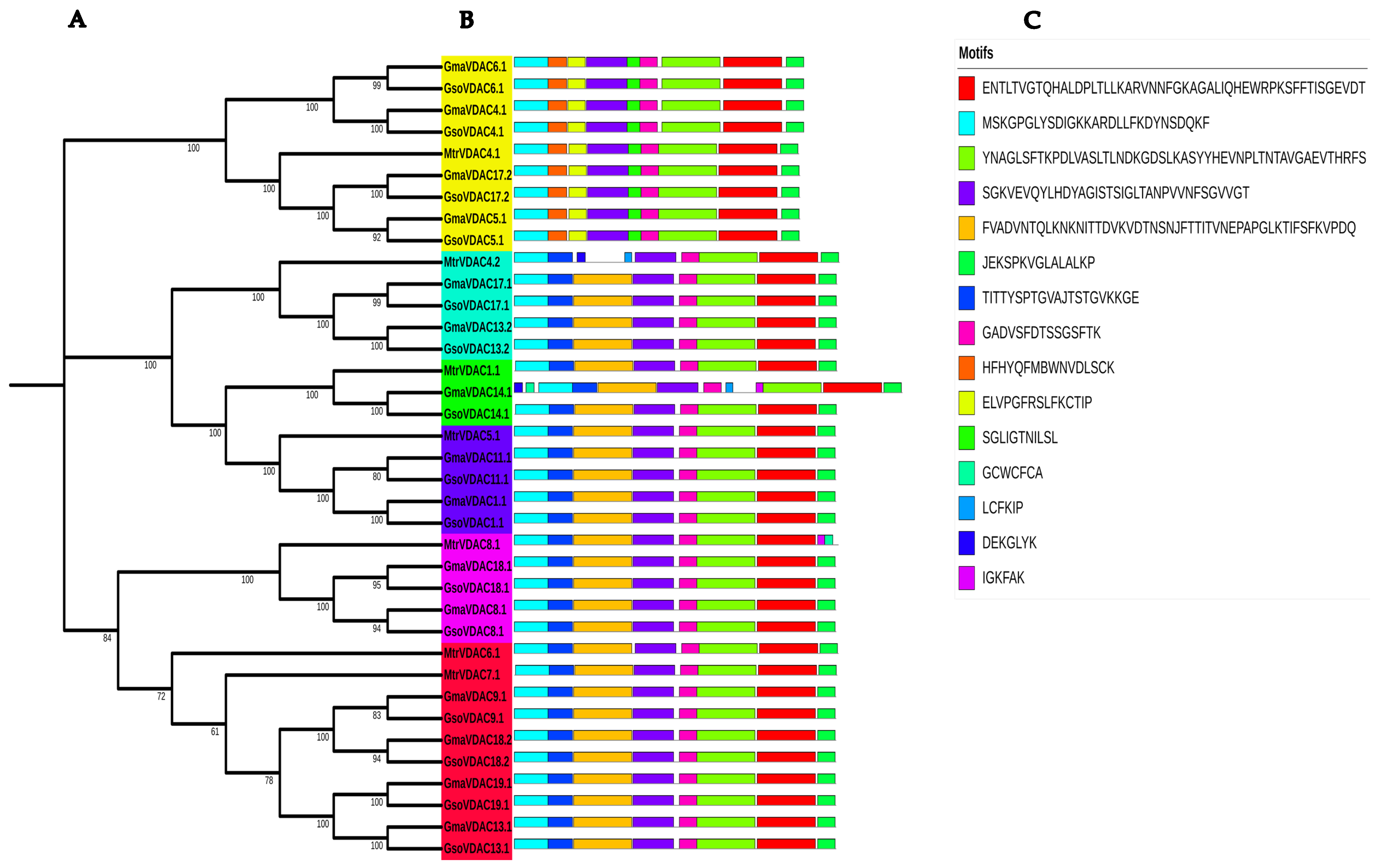 Genome-Wide Characterization of VDAC Gene Family in Soybean (Glycine ...