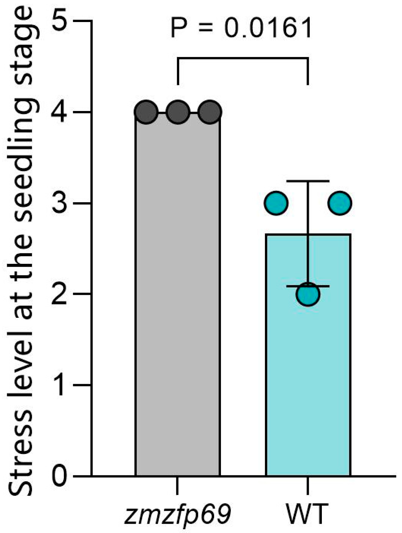 Functional Analysis of Zinc Finger Protein Transcription Factor ZmZFP69 ...