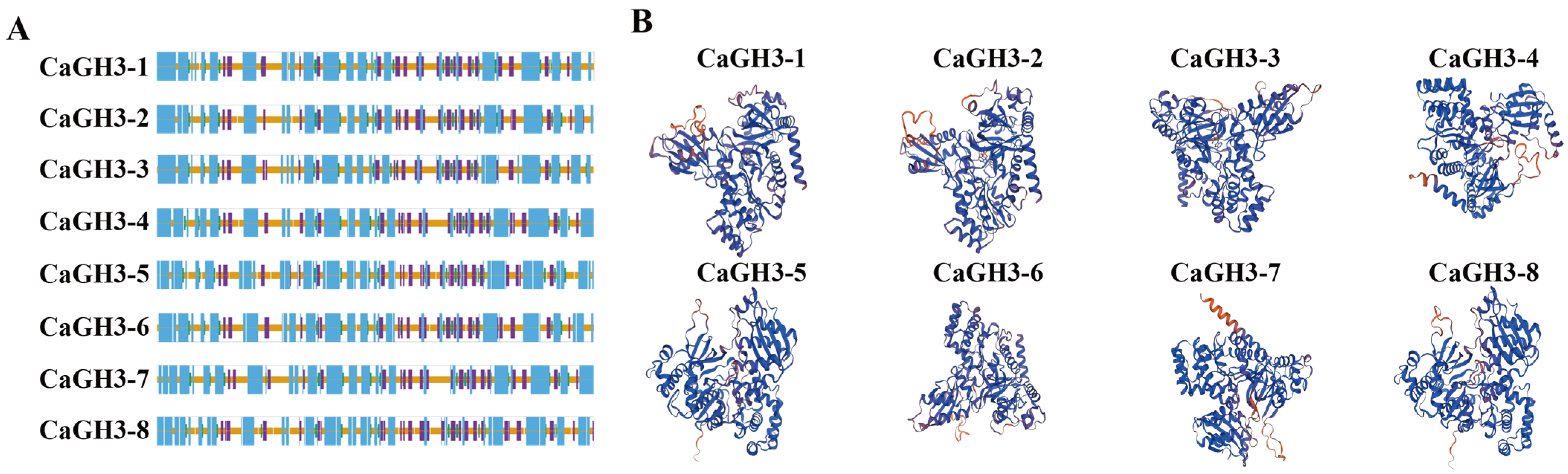 Genome-Wide Identification and Expression Analysis of Auxin-Responsive ...