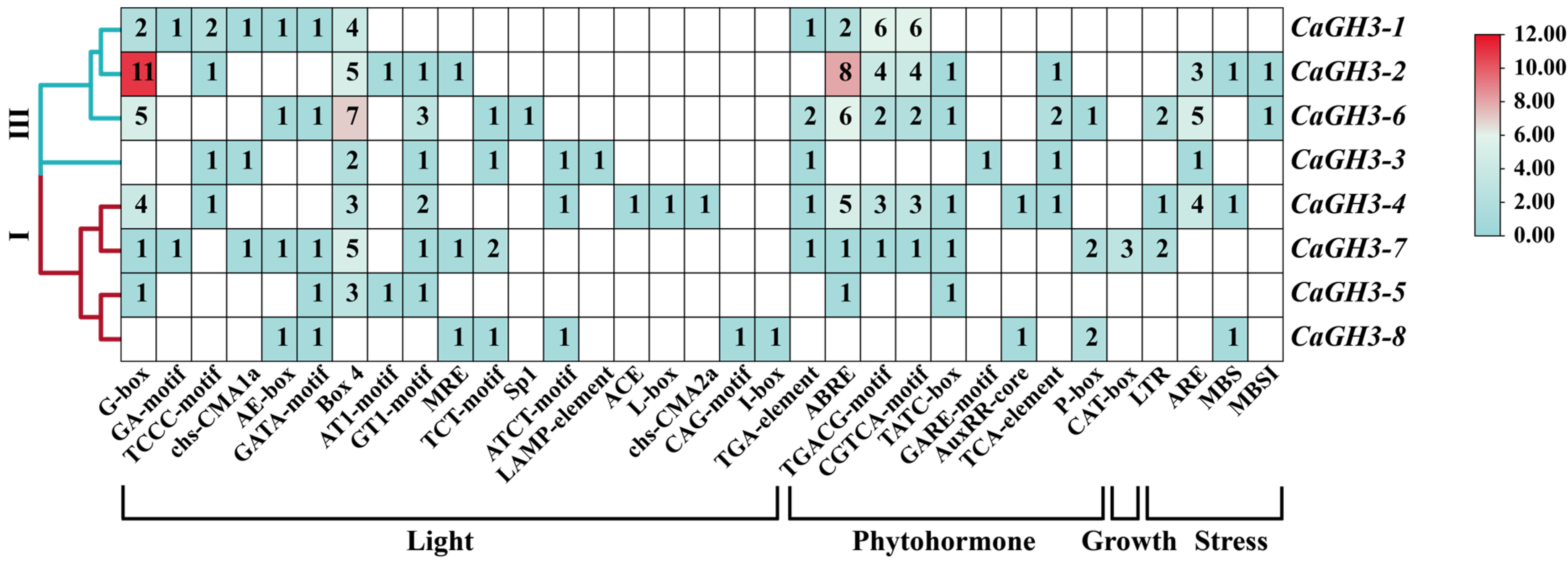 Genome-Wide Identification and Expression Analysis of Auxin-Responsive ...