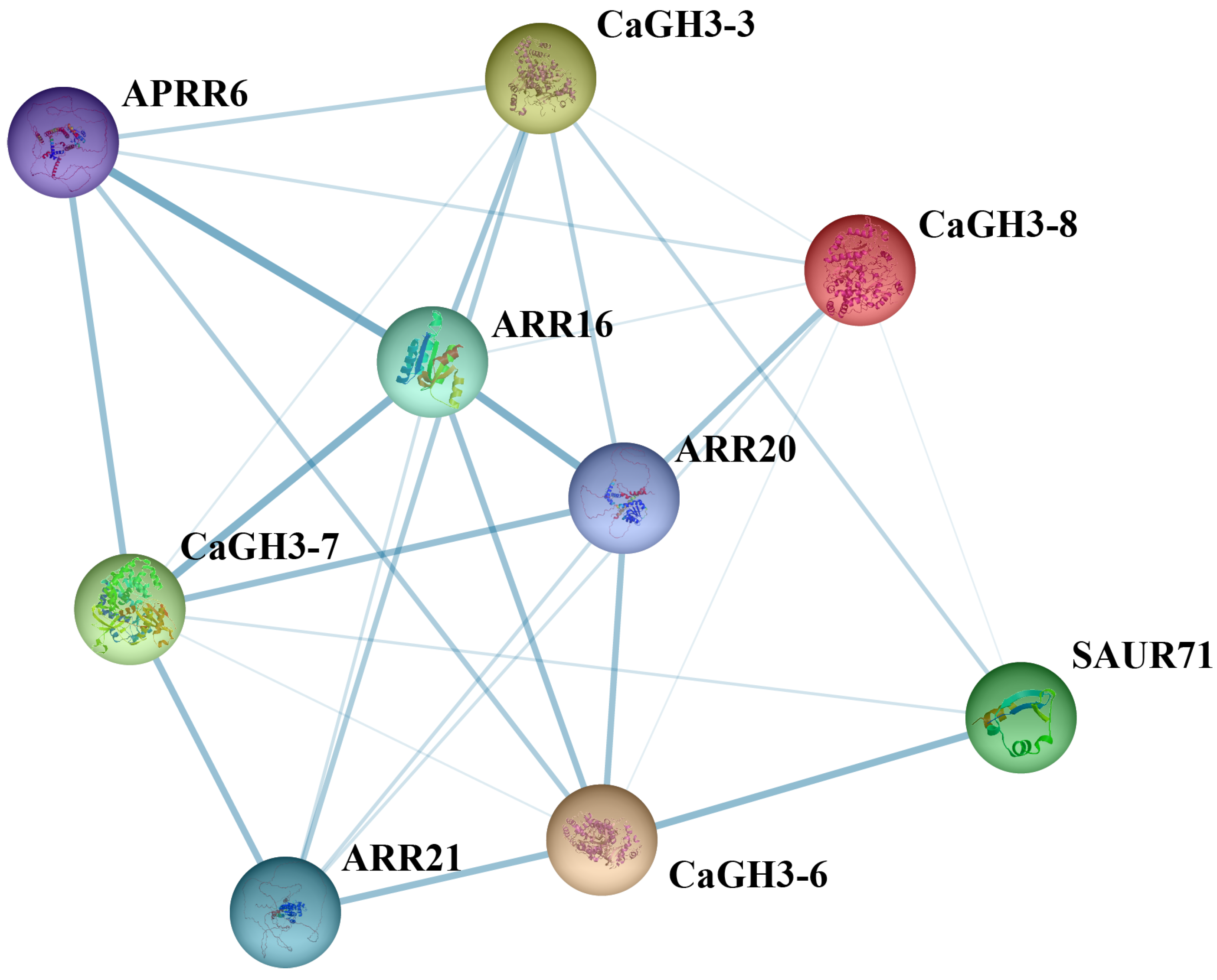 Genome-Wide Identification and Expression Analysis of Auxin-Responsive ...