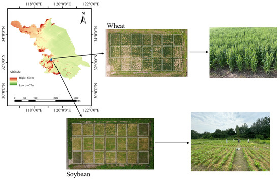 Impacts of Various Straw Mulching Strategies on Soil Water, Nutrients ...